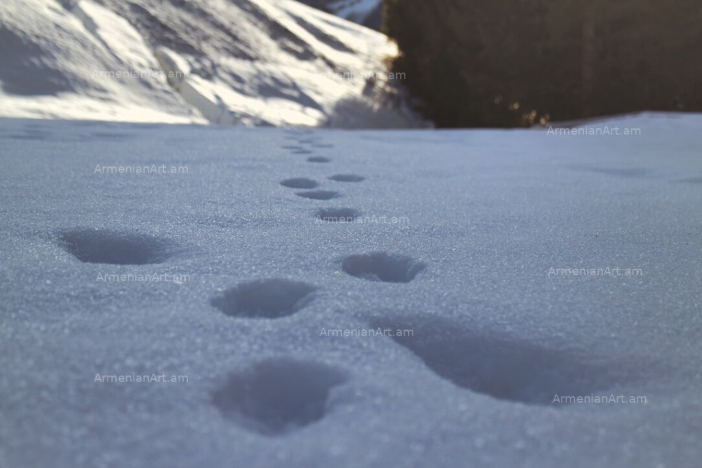 A Home For The Forgotten Souls, photo by Aram Khalafyan