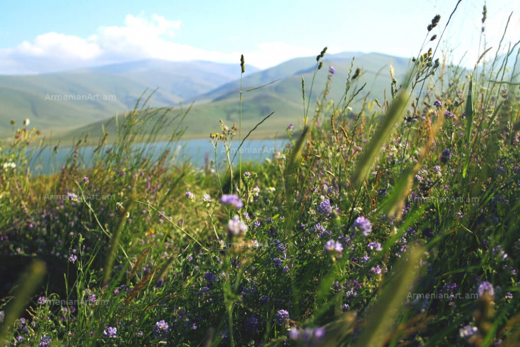 Someone To Walk Through The Darkness With, photo by Aram Khalafyan